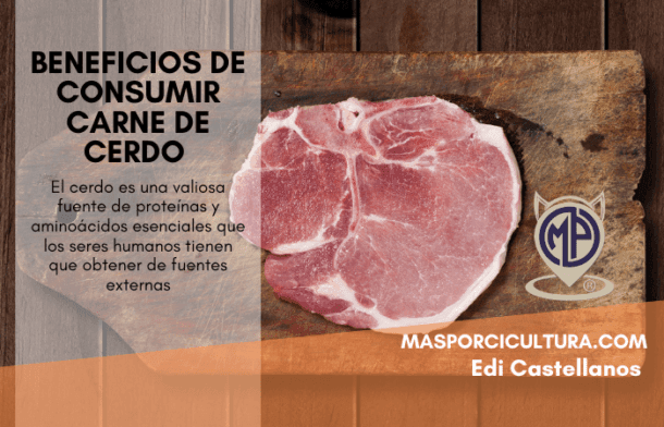 Rendimiento de peso vivo a peso canal de un cerdo finalizado ...