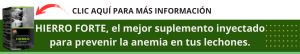 Aplicación de Hierro en Lechones | MasPorcicultura