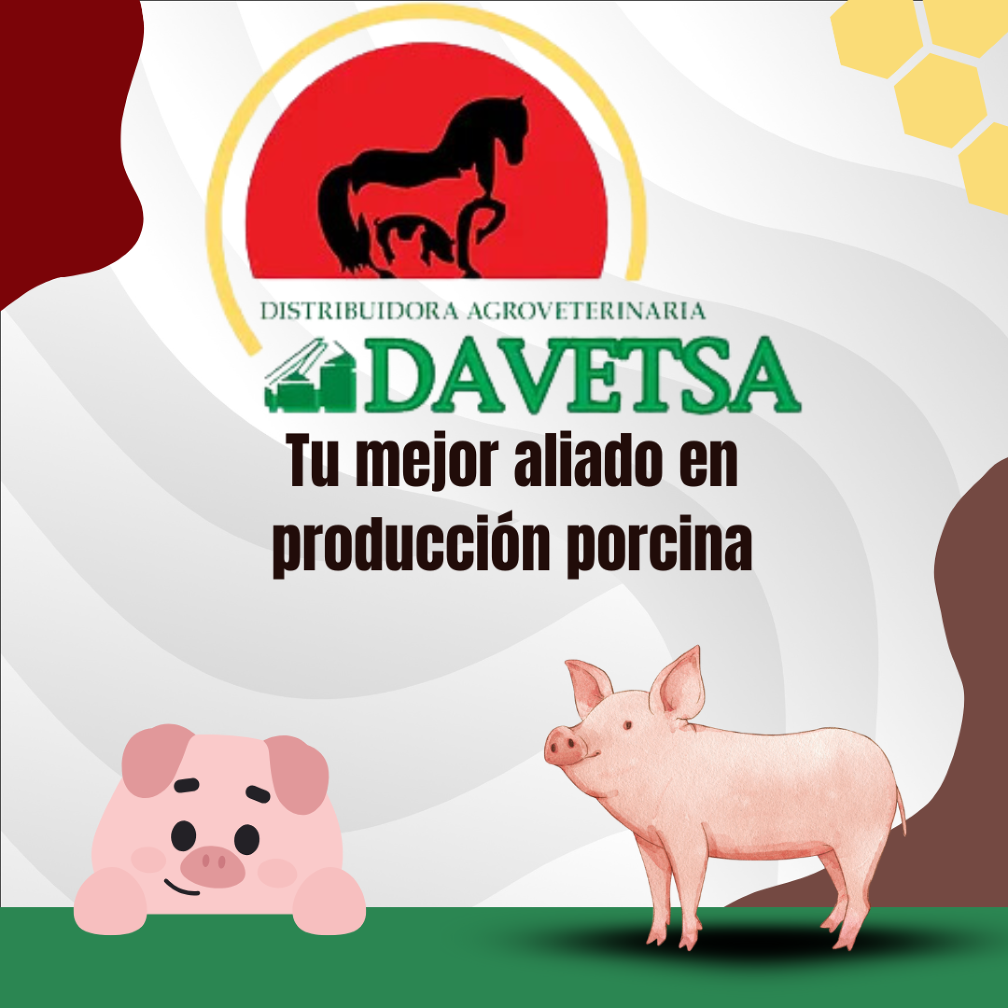 Crecimiento cerdos engorde | MasPorcicultura