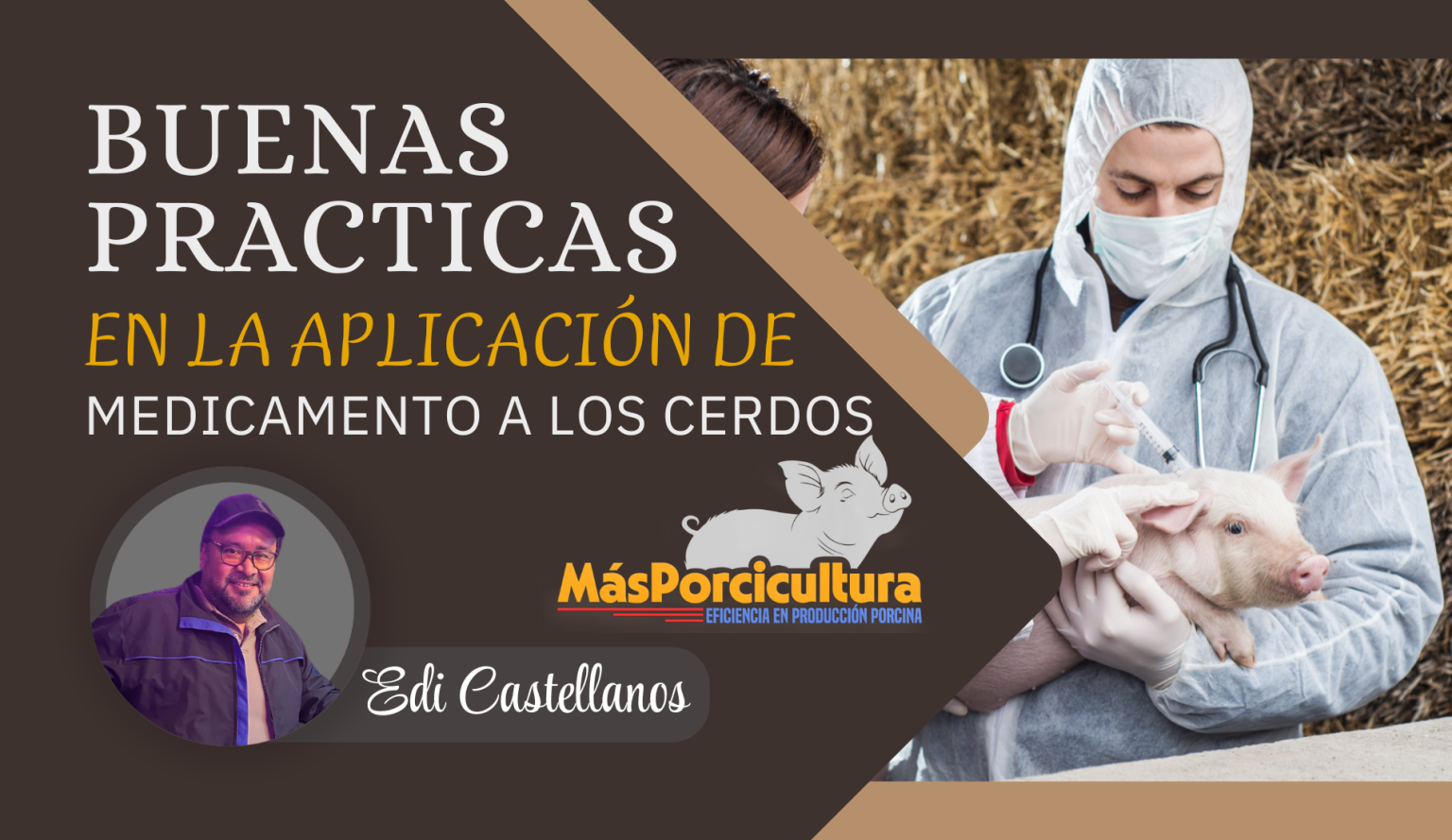 5 puntos clave para el éxito en la gestión de la cerda gestante ...