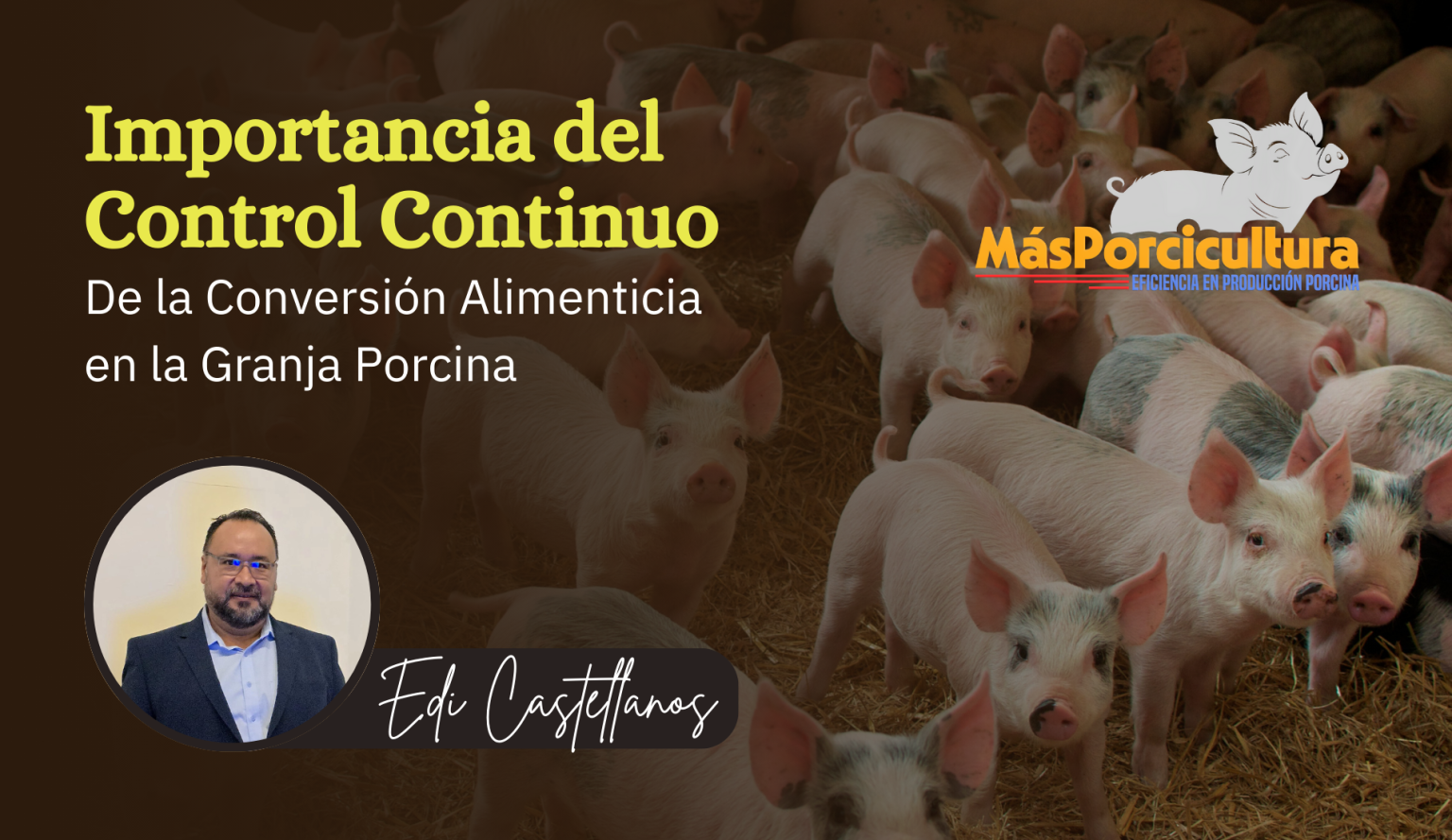 Rendimiento de peso vivo a peso canal de un cerdo finalizado ...