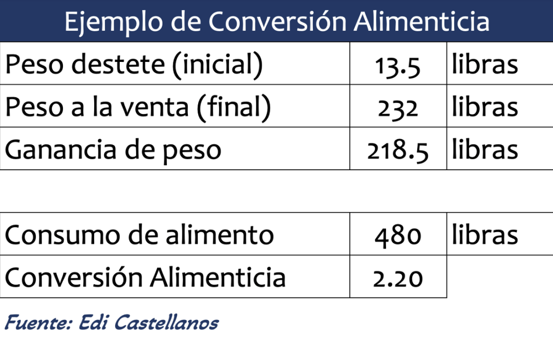 Importancia del control continuo de la Conversión Alimenticia en una granja porcina ...